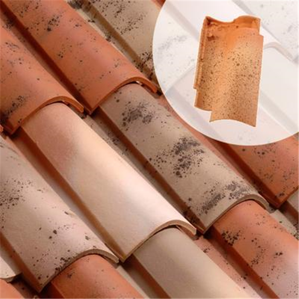 Tuile en terre cuite à emboîtement grand moule fortement galbée - Canal ...