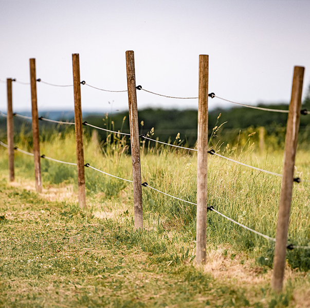 Clôture électrique pour enclos