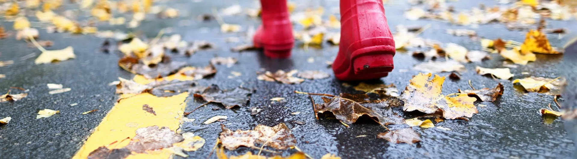 Nicoll : systèmes d'évacuation et de gestion de l'eau